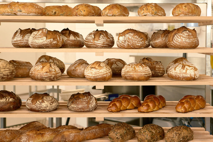 Bakery – Kubista Gastro GmbH